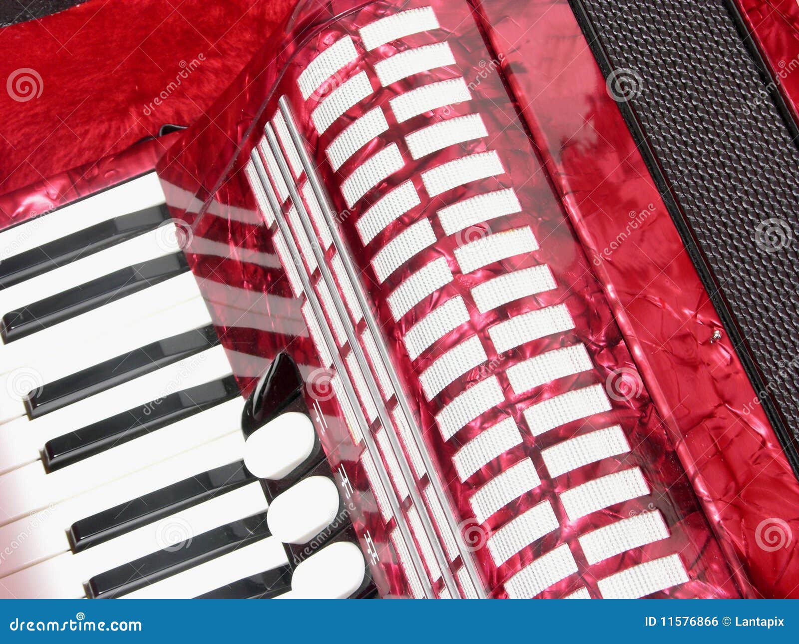 Dragspels- utklipp arkivfoto. Bild av fall, musik, musikal - 11576866