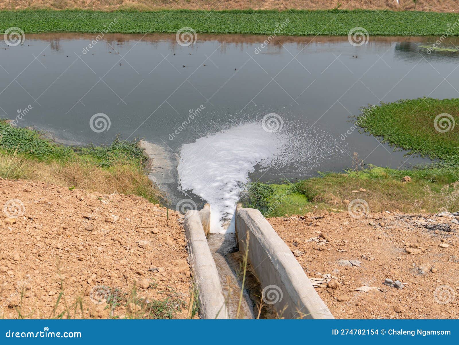 Clogged Drain Melt Stock Photos - Free & Royalty-Free Stock Photos from ...