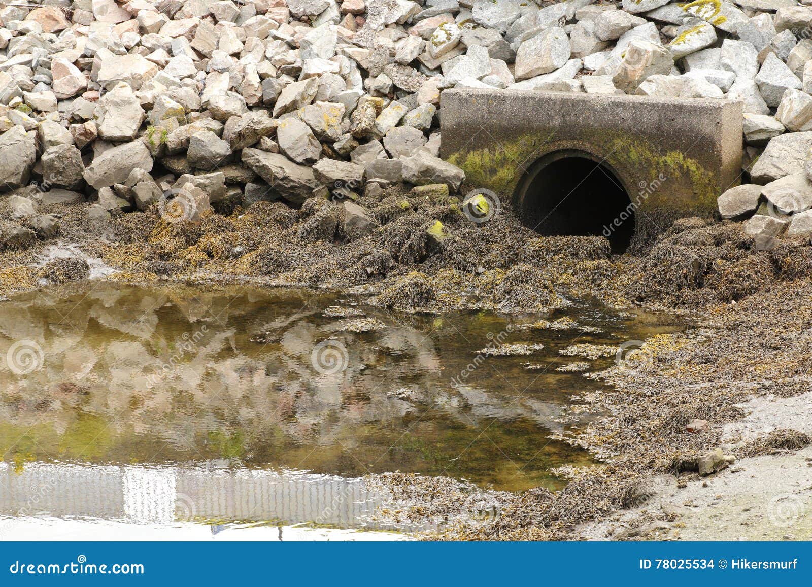 Drain pipe, sewer stock photo. Image of stream, river - 78025534