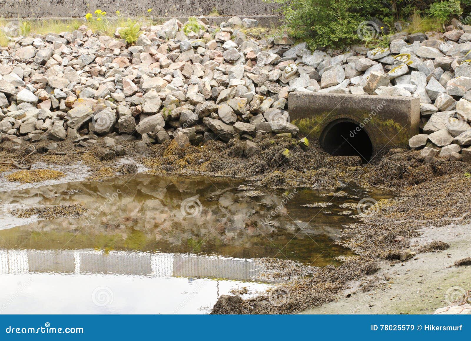 Drain pipe, sewer stock image. Image of pipe, river, ecology - 78025579