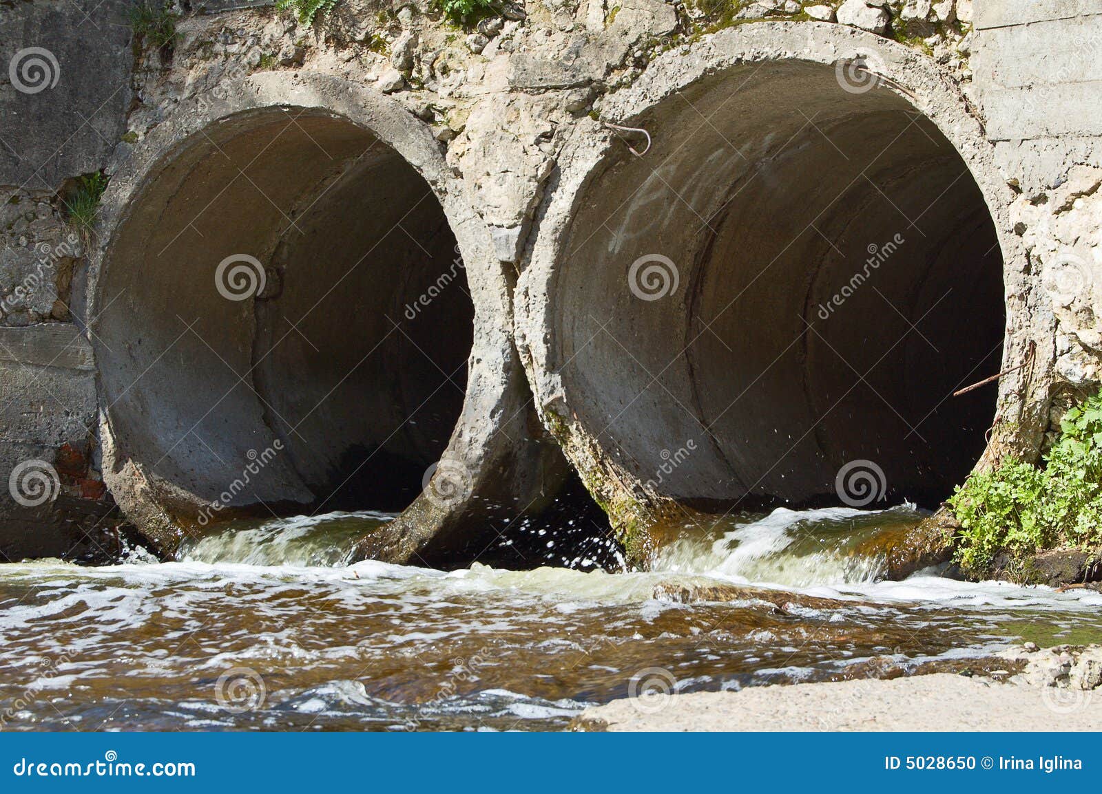 Drain pipes stock photo. Image of river, reserve, drainage - 5028650