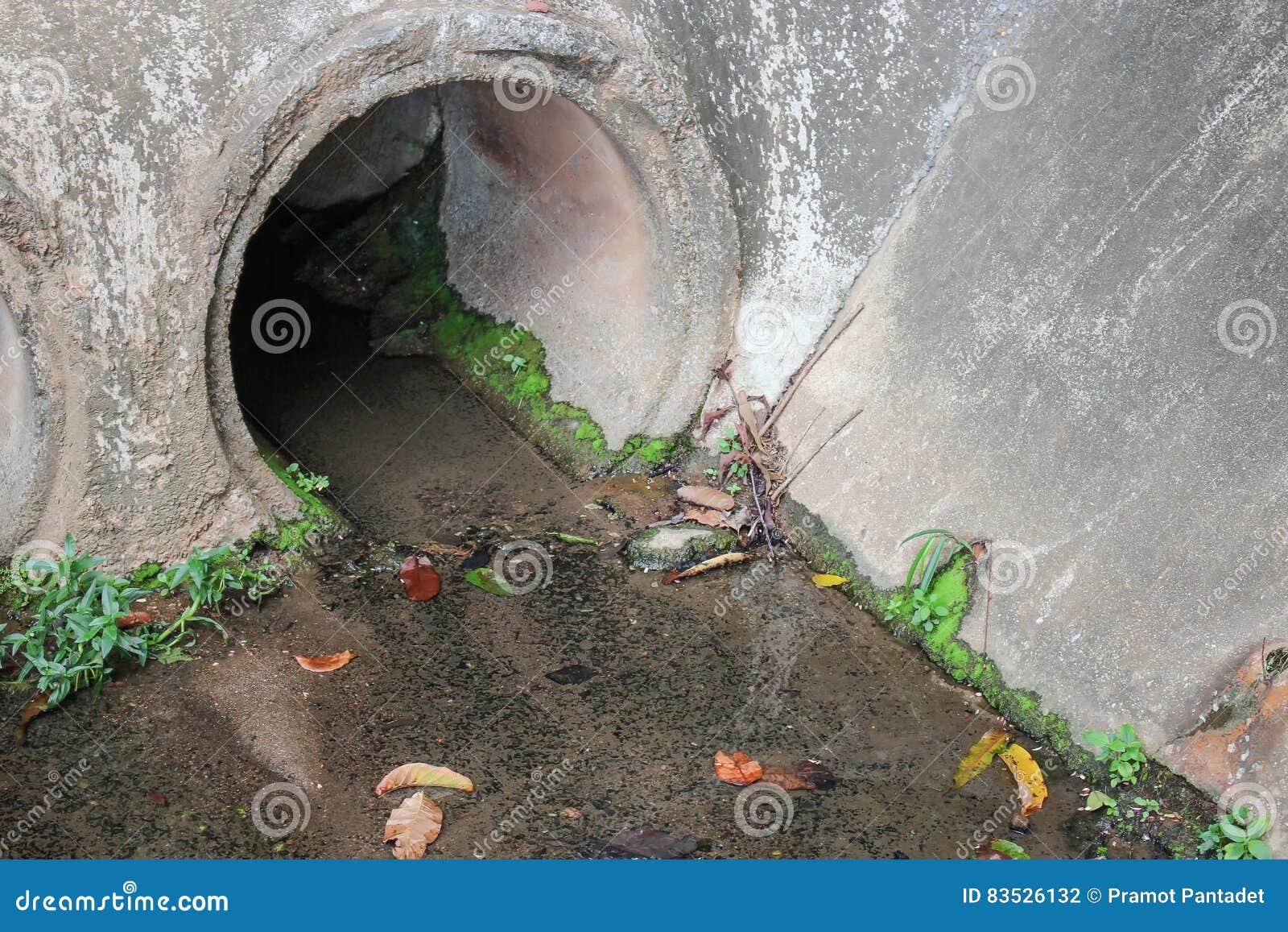 Drain Water. Dirty Drain and Water Pollution Stock Photo - Image of ...