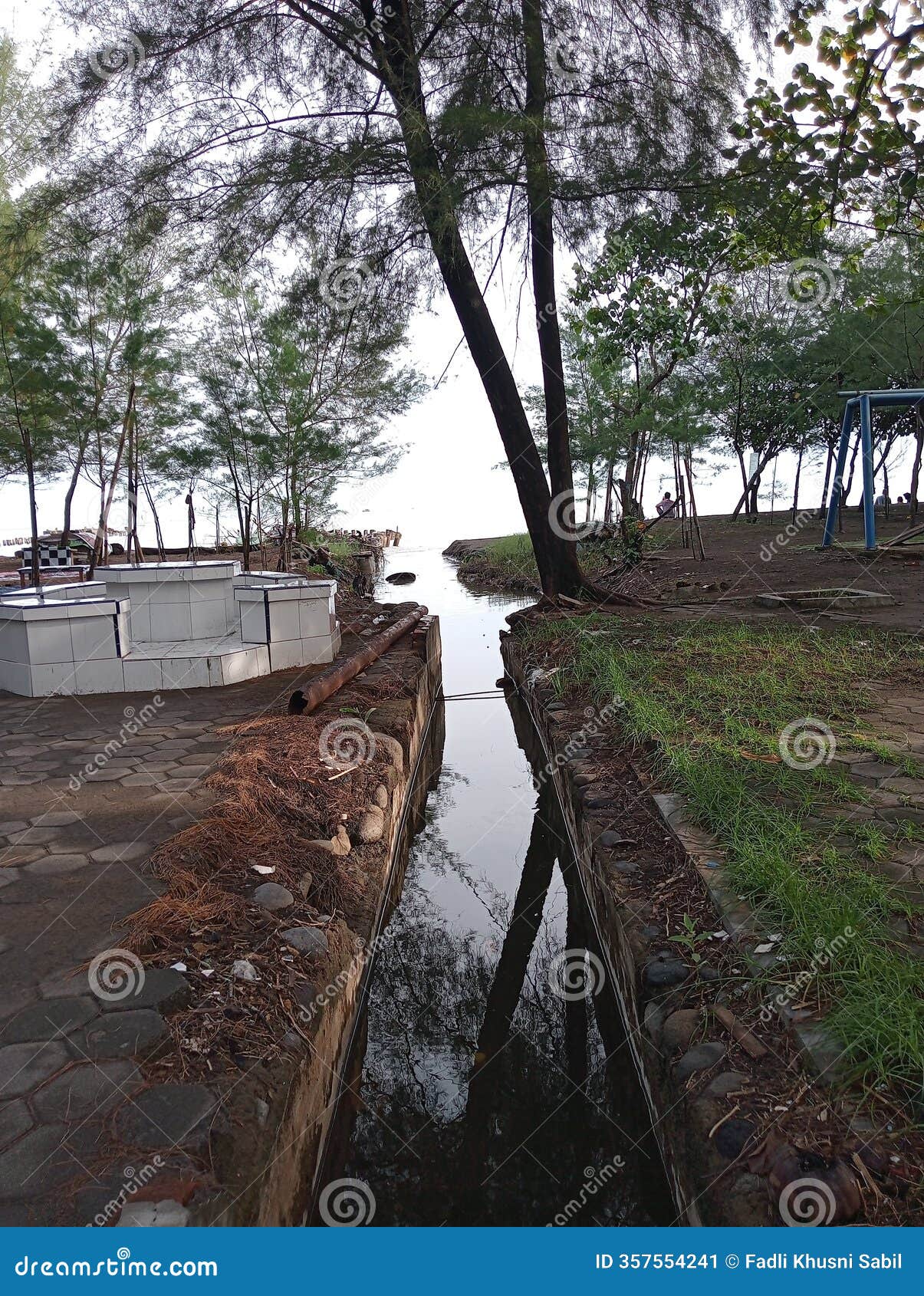 Drainage Channel Water In Lagoa Azul. Sete Cidades. Azores, Port Stock ...