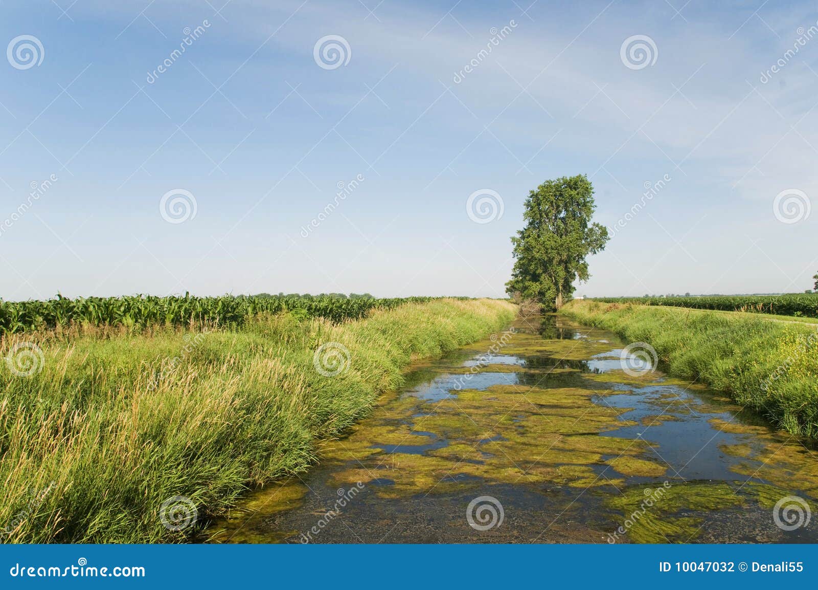 Drainage ditch stock photo. Image of water, ditch, farm - 10047032