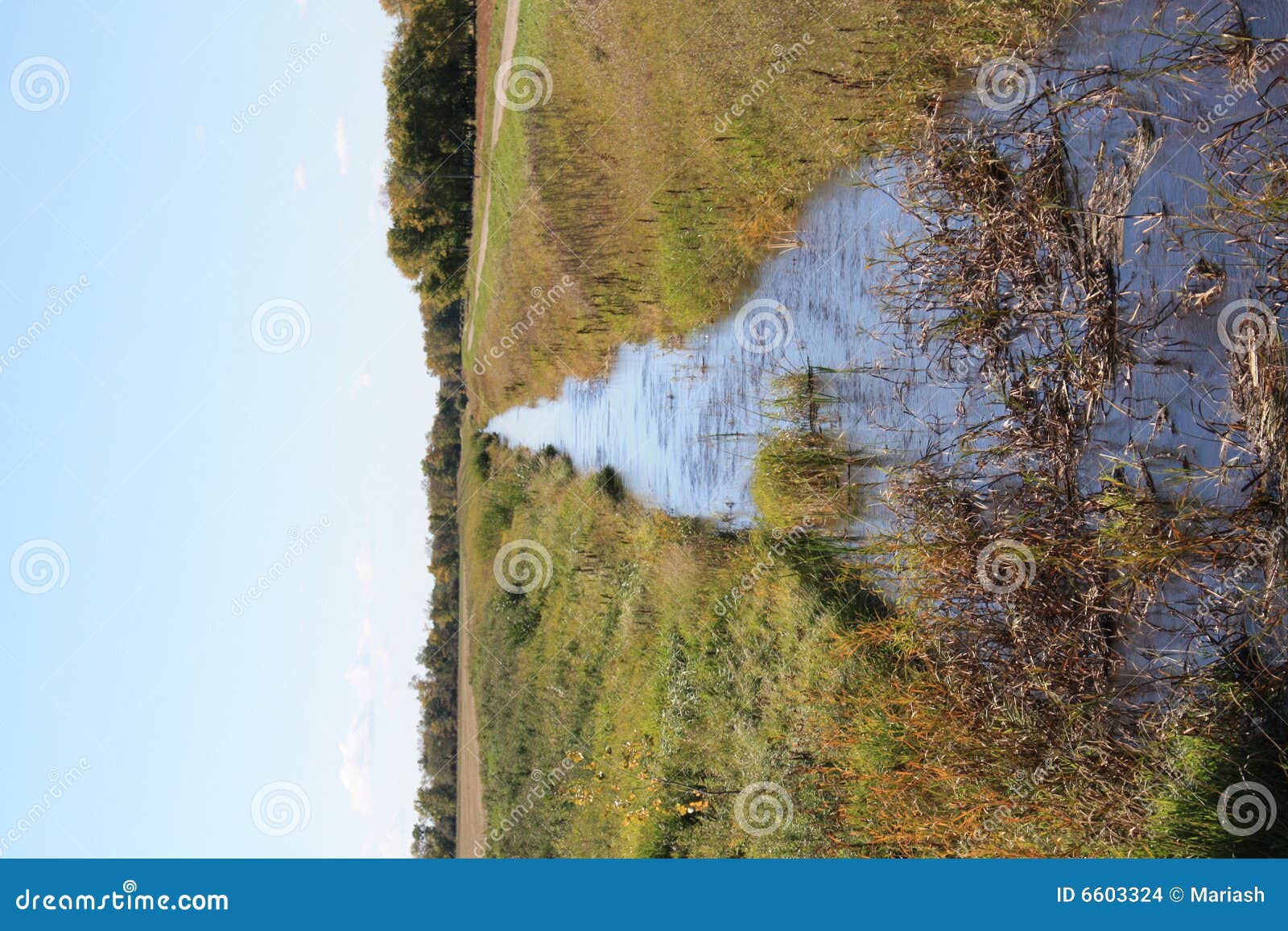 Drainage Ditch stock photo. Image of overgrown, farming - 6603324