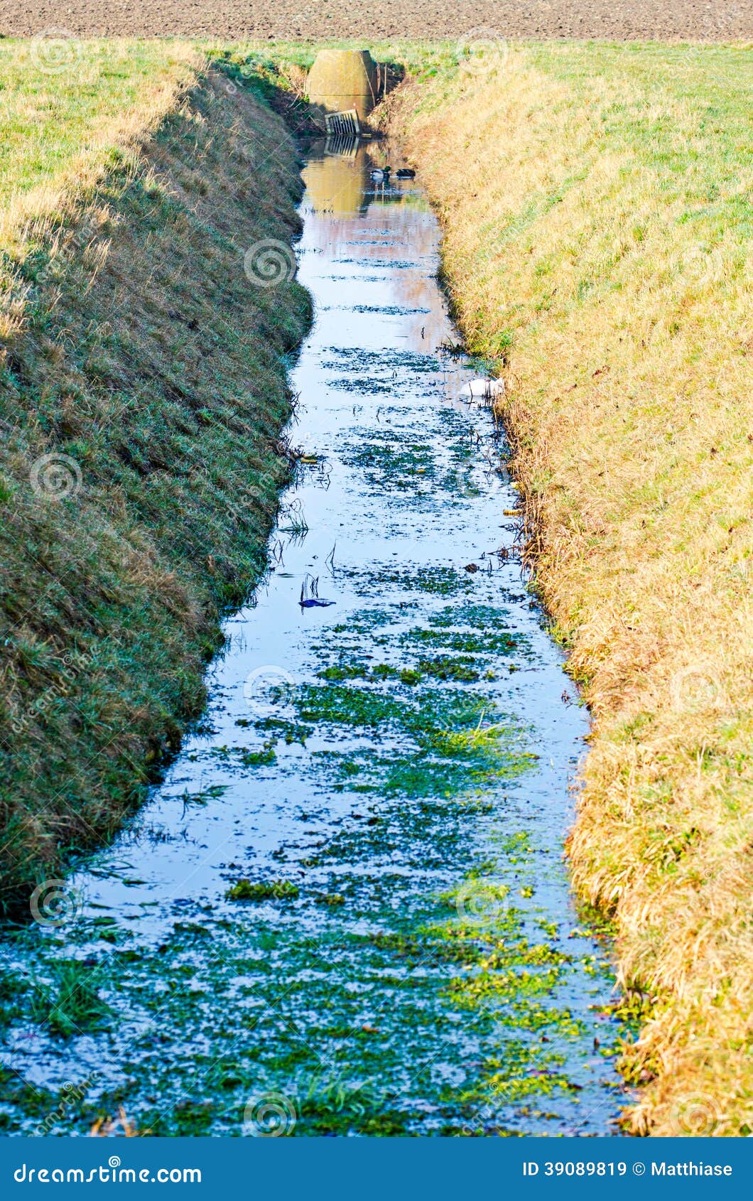 Drainage Ditch For Water Flow Between The Field And The Road Stock ...
