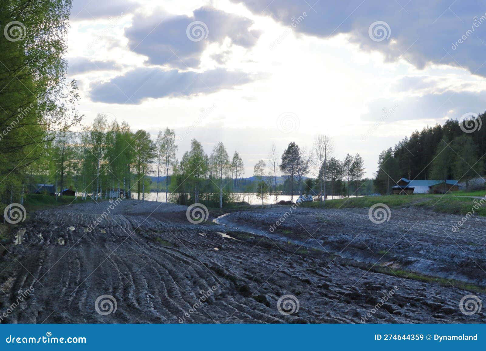 Drainage Ditch in the Peat Extraction Site. Drainage and Destruction of ...