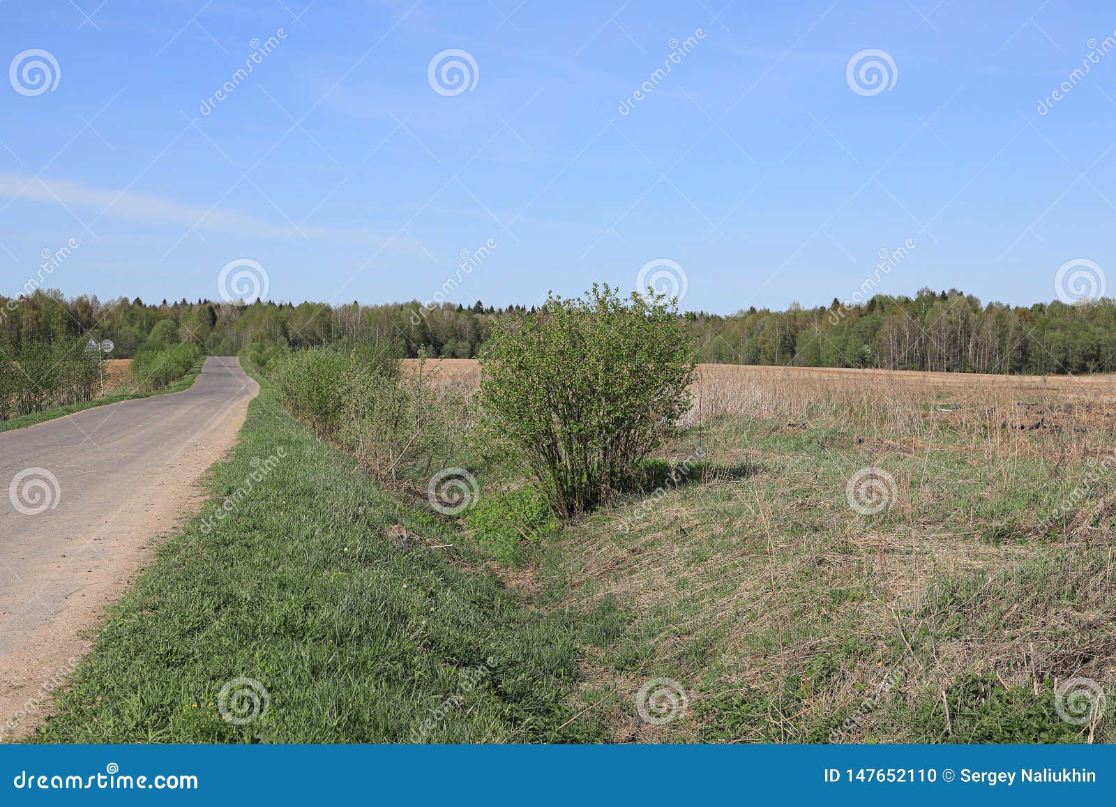Drainage Ditch For Water Flow Between The Field And The Road Stock ...
