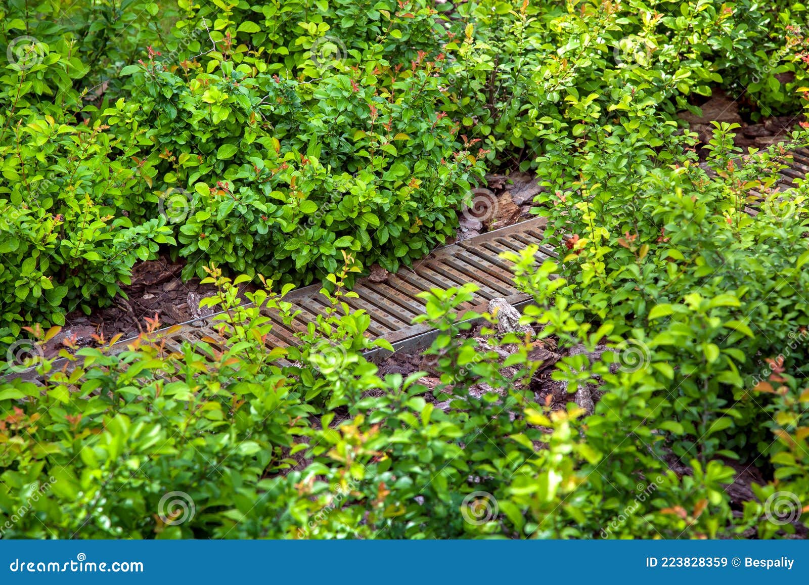 Landscape With Rainwater Harvesting Dam, Water Reservoir And Distant ...