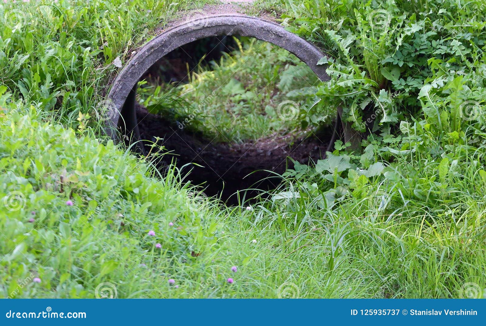 Drainage Pipe Connecting the Ditch Under the Bridge Stock Image - Image ...