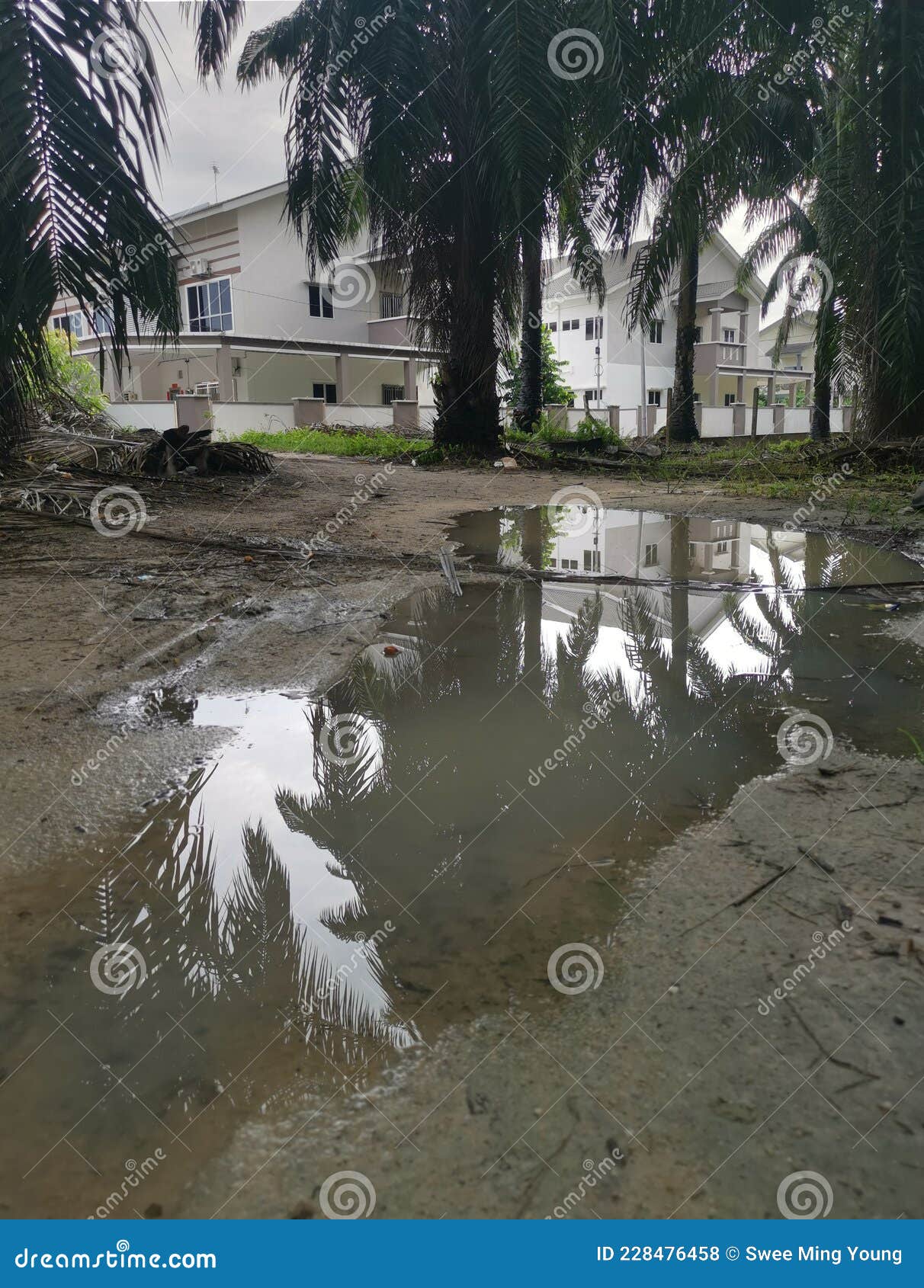 Drainage in the Rural Countryside Farm. Stock Photo - Image of field ...