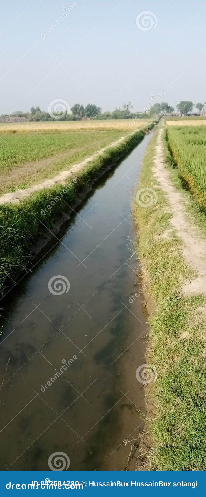 Drainage System for Irrigating Crops Stock Photo - Image of grassland ...