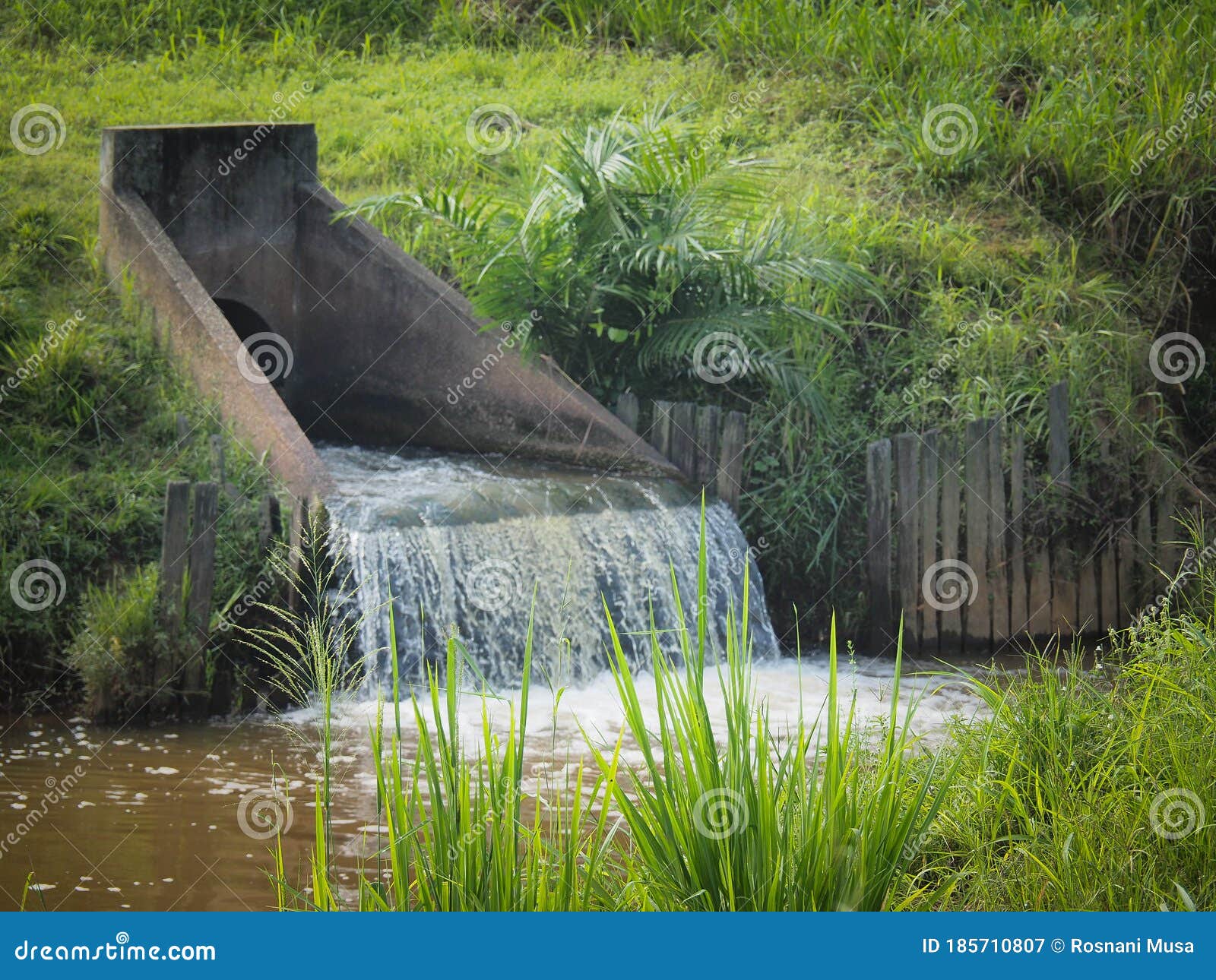 Drainage System for Rice Fields Stock Image - Image of irrigation, lake ...