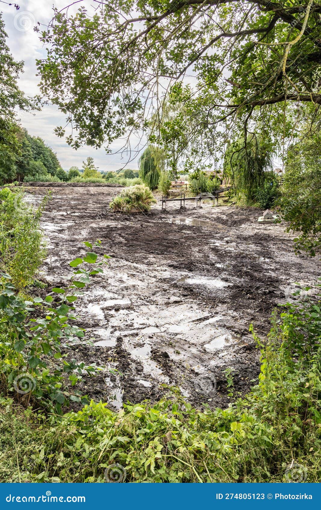 Drained Artificial Lake for Silt Removal Stock Image - Image of forest ...