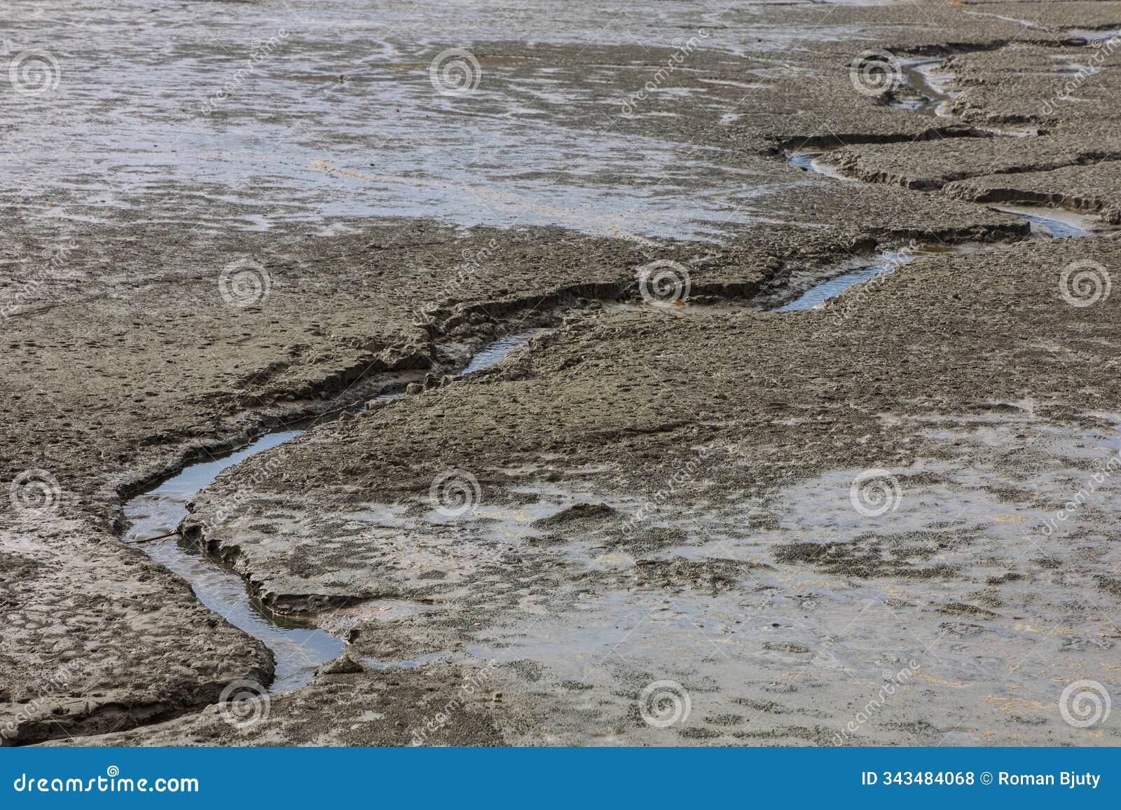 A Drained Pond and Mud on Its Bottom Stock Illustration - Illustration ...