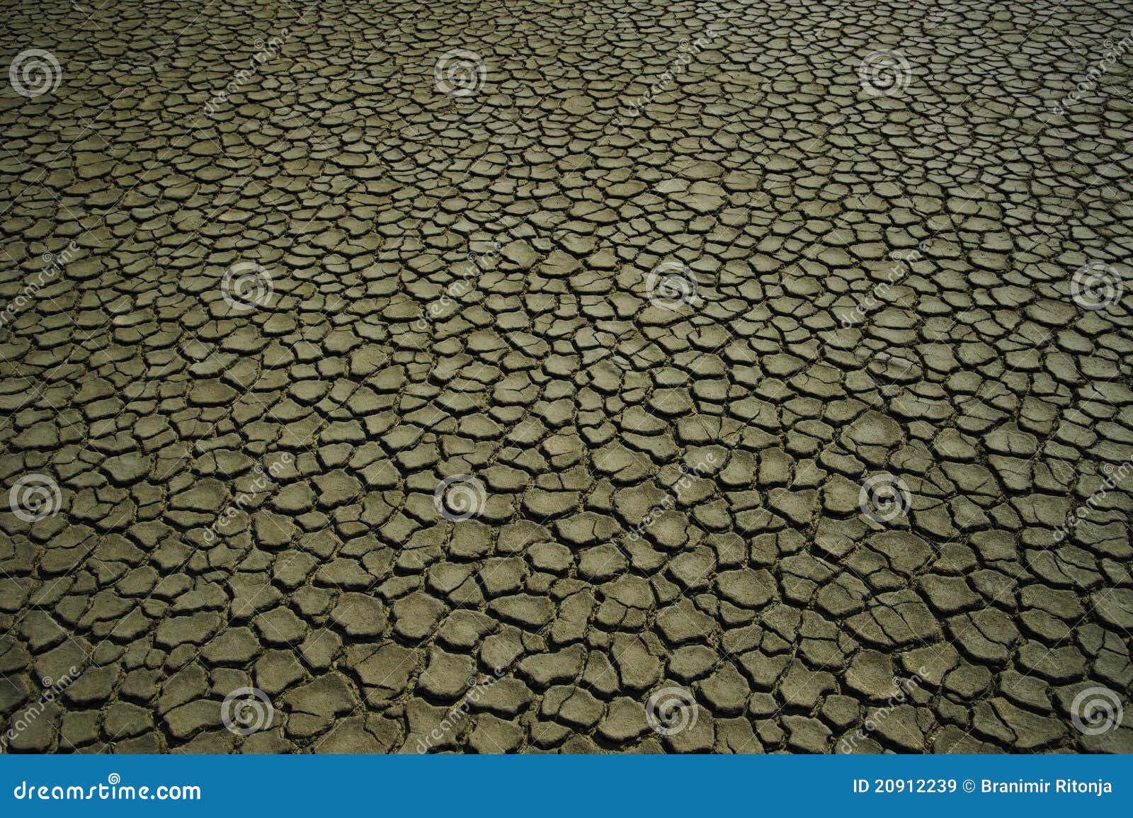 Drained soil stock image. Image of earth, heat, land - 20912239