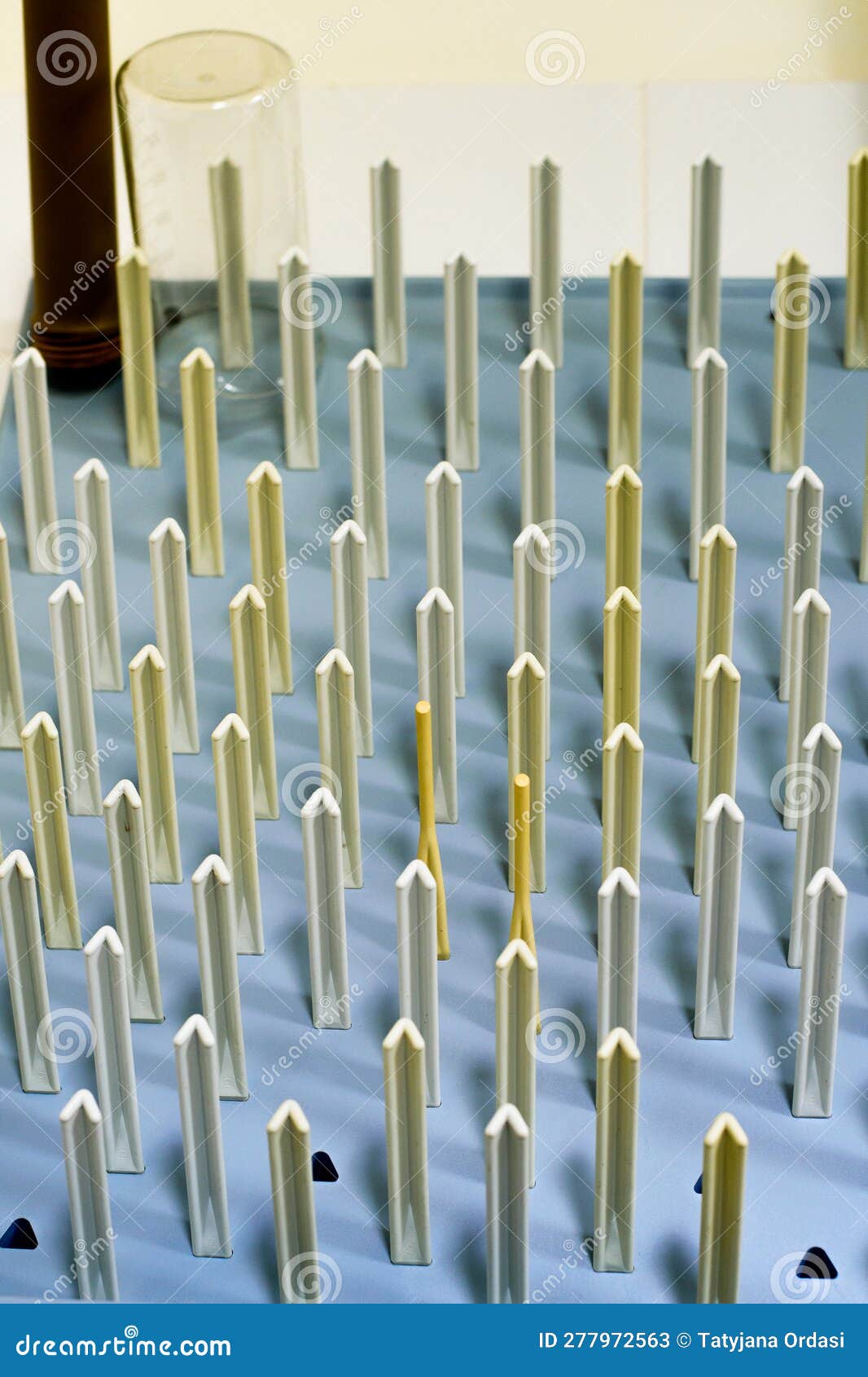 Draining Rack. Glass Inverted on Wall Dryer in a Science Laboratory ...