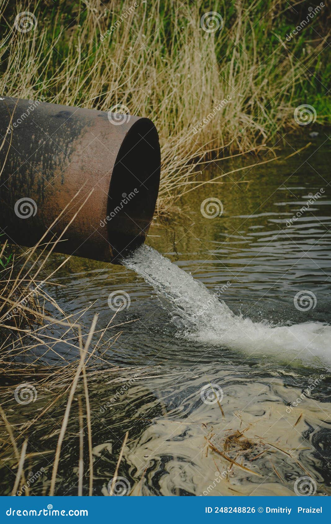 Draining Sewage from Pipe into River, Pollution Rivers and Ecology ...