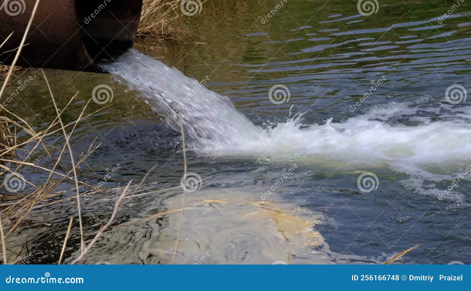 Draining Sewage from Pipe into River, Pollution Rivers and Ecology ...