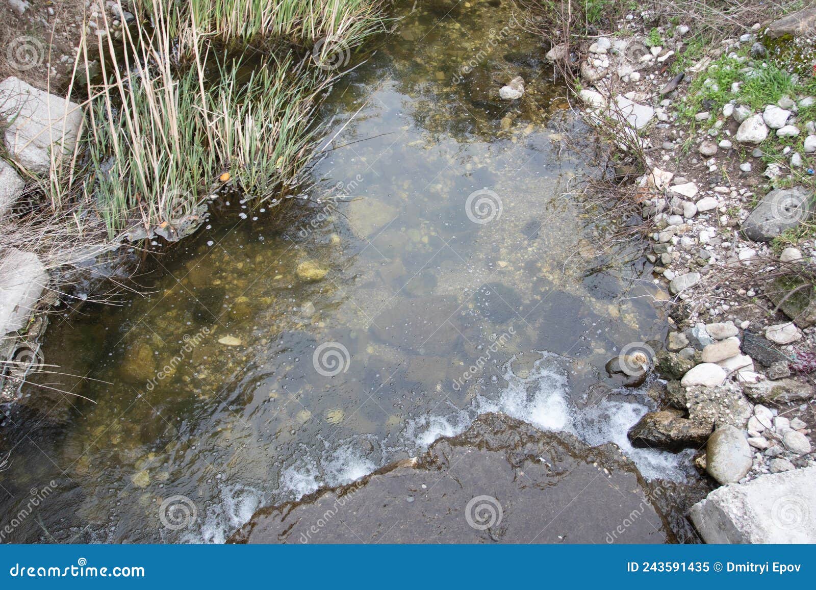 Draining Water into the River. Environmental Pollution Stock Image ...