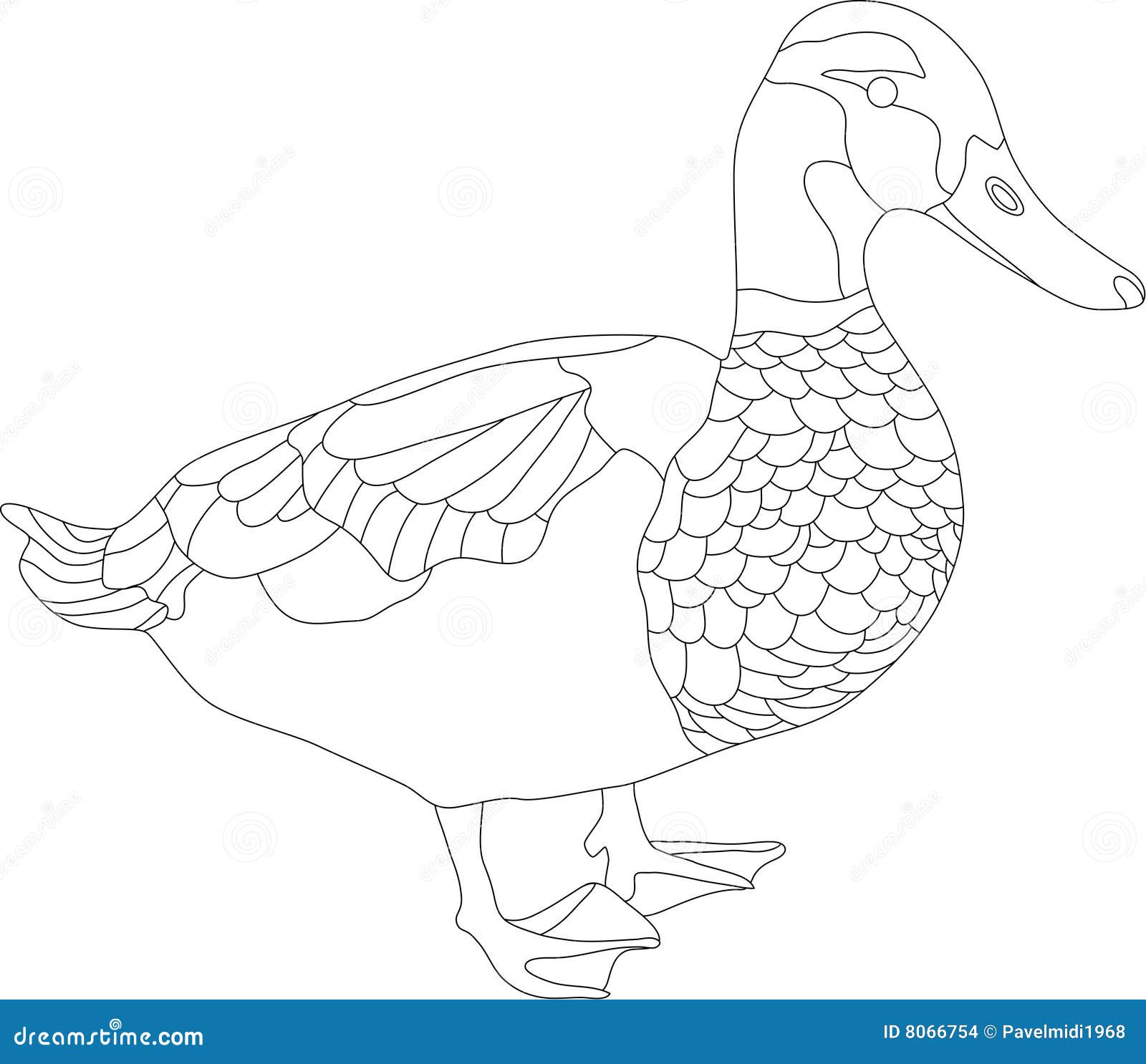 How To Draw Drake For Children. Step By Step Drawing Tutorial Vector ...