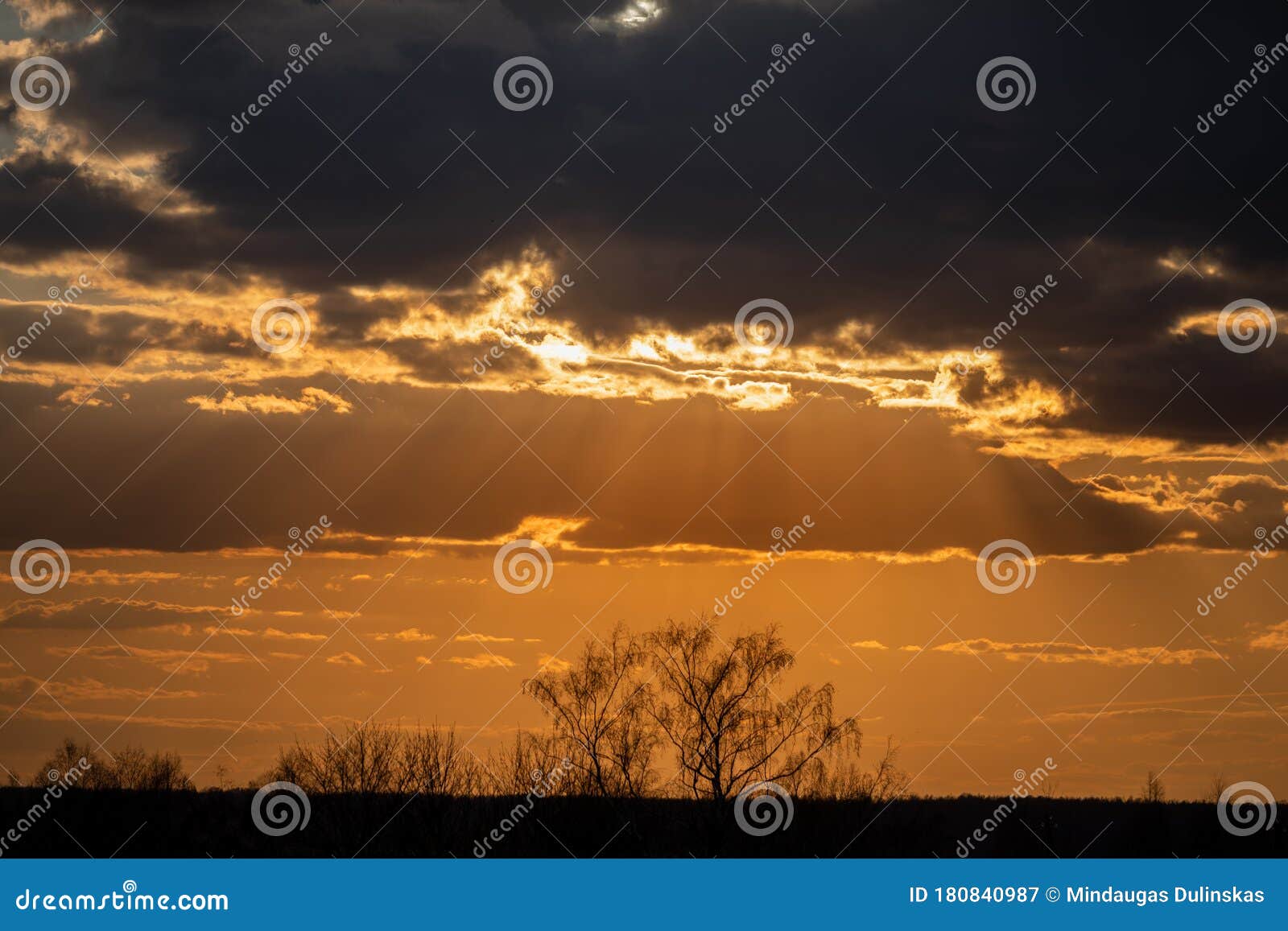 Drama Sunset Sky with Tree in Foreground Stock Image - Image of ...