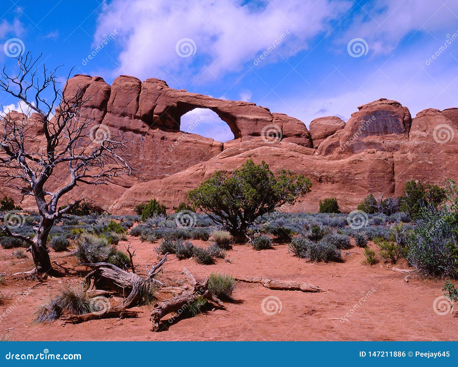 Dramatic Arches National Park Stock Photo - Image of logs, park: 147211886