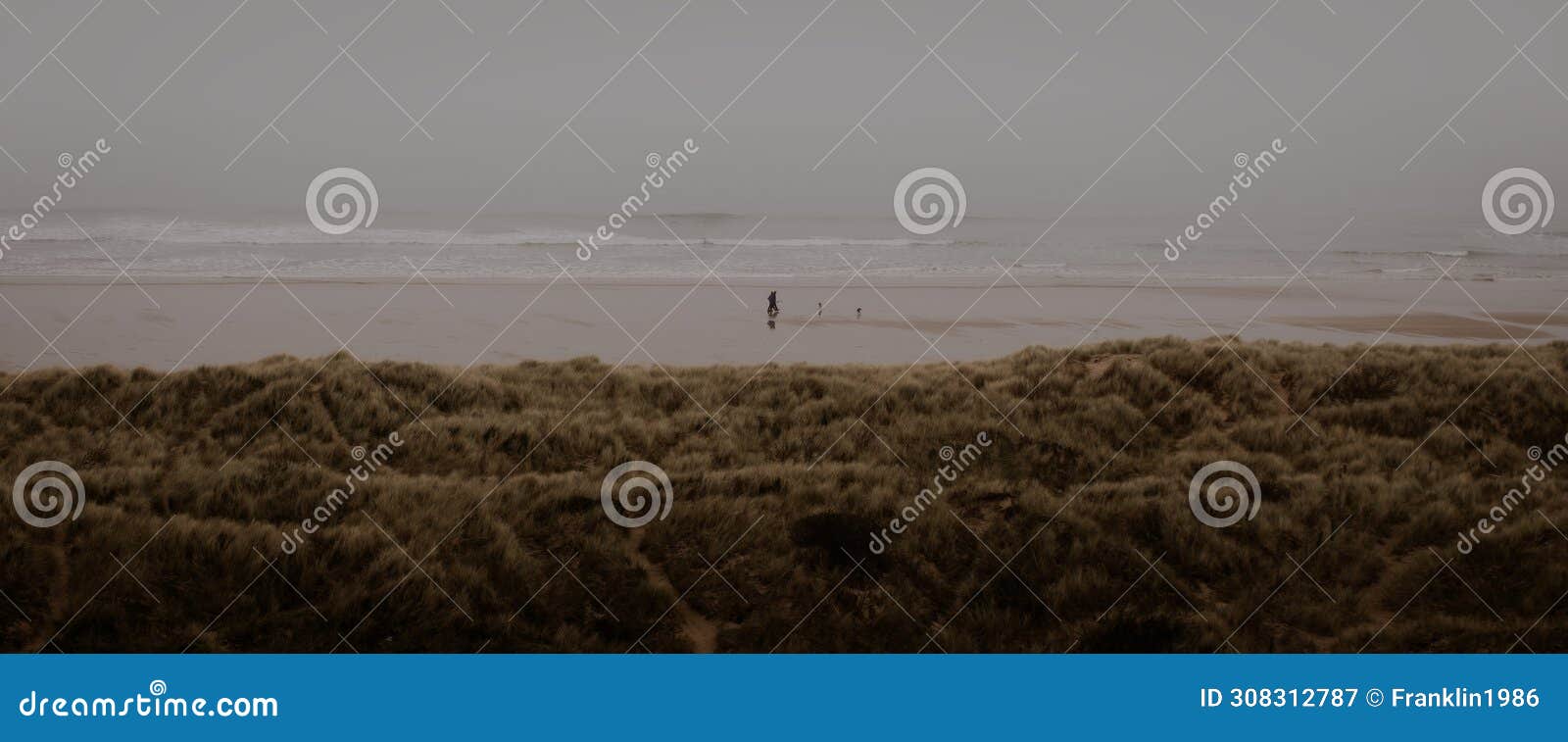 Dramatic Beach People Walking Stock Image - Image of sand, wave: 308312787