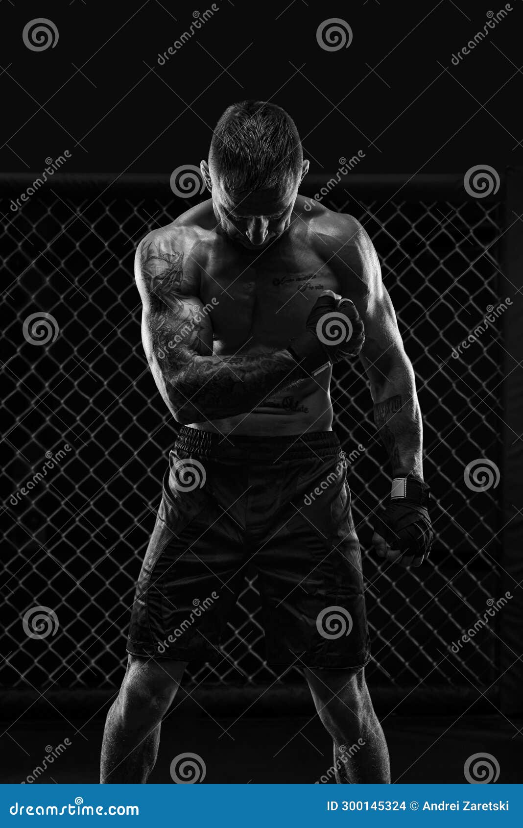 The Dramatic Black White Image of the MMA Fighter. Photography in a ...