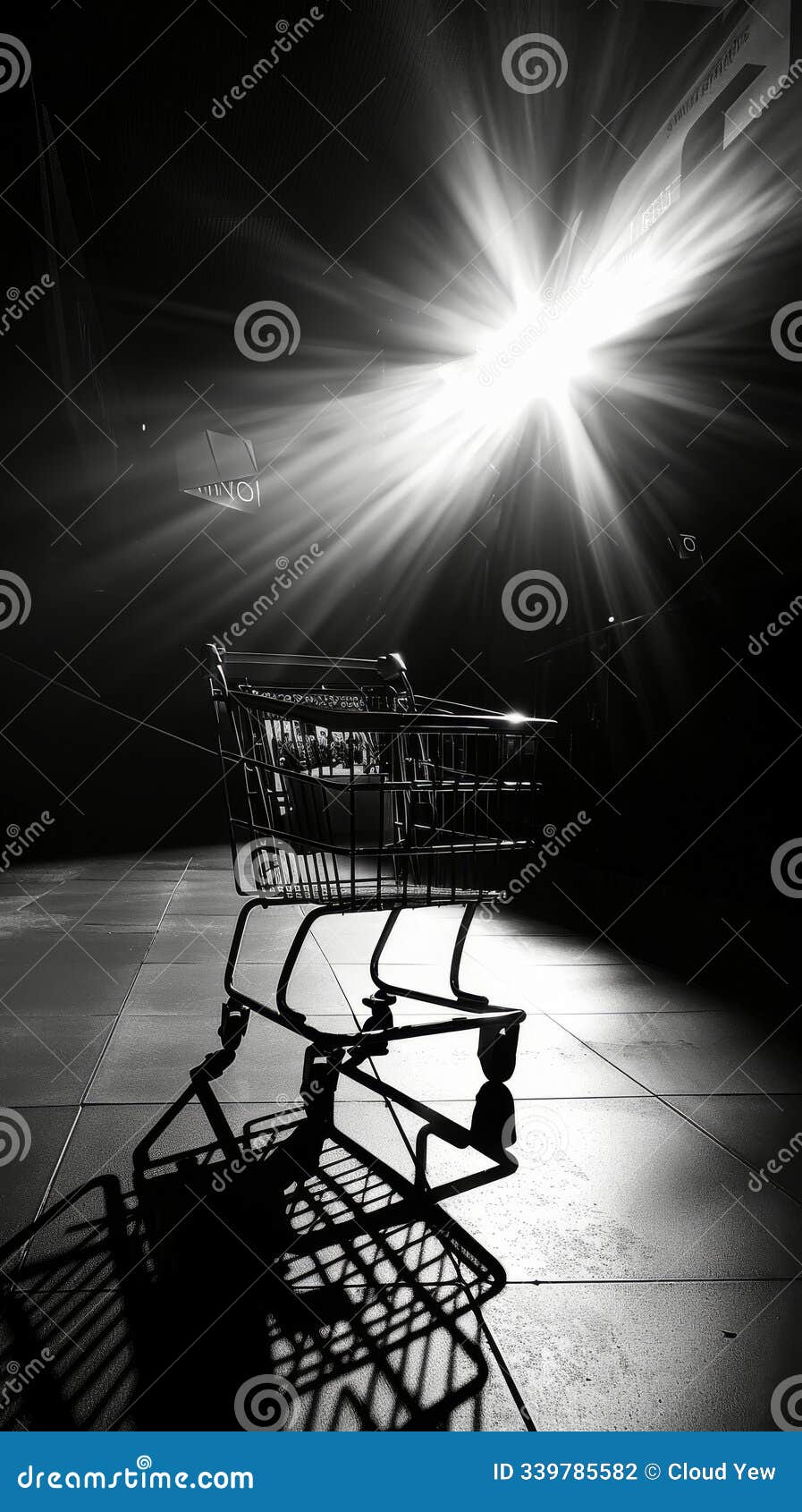 Dramatic Black and White Shopping Cart in Spotlight with Shadows and ...