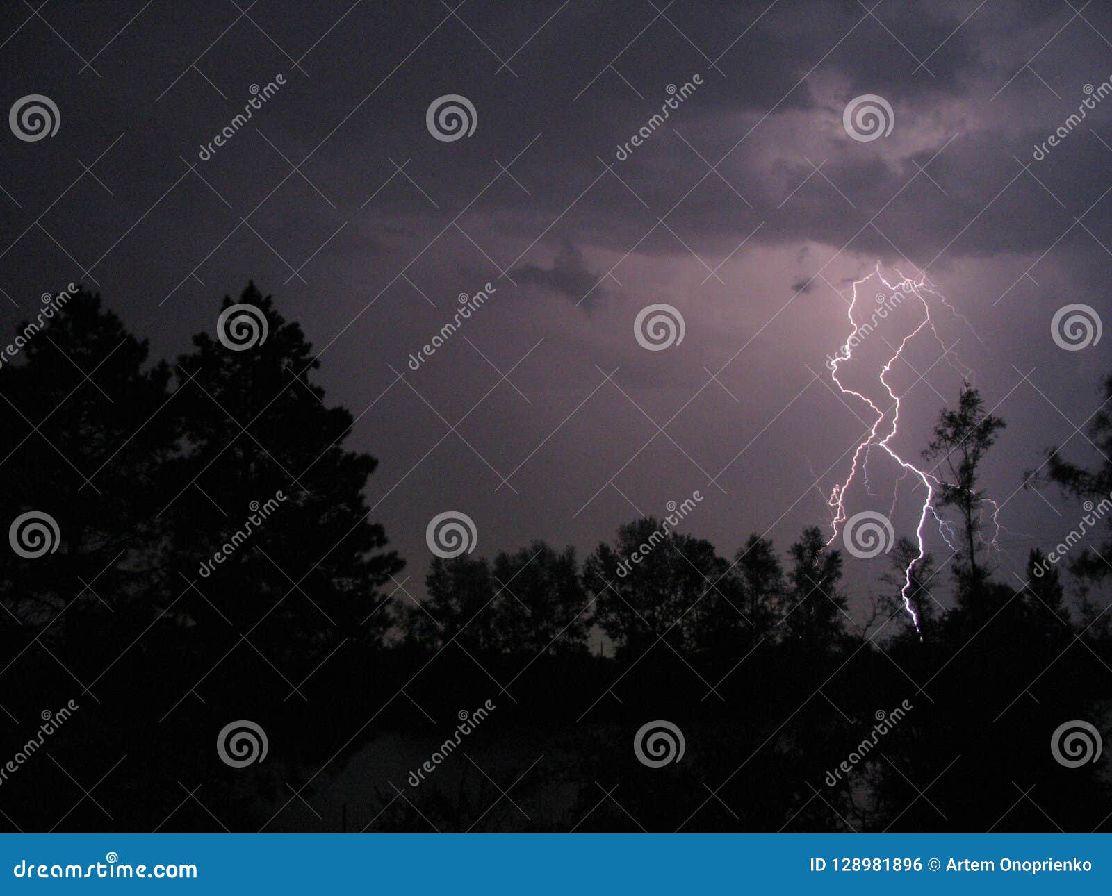 A Dramatic Bolt of Branching Lightning Silhouettes Foreground Trees ...