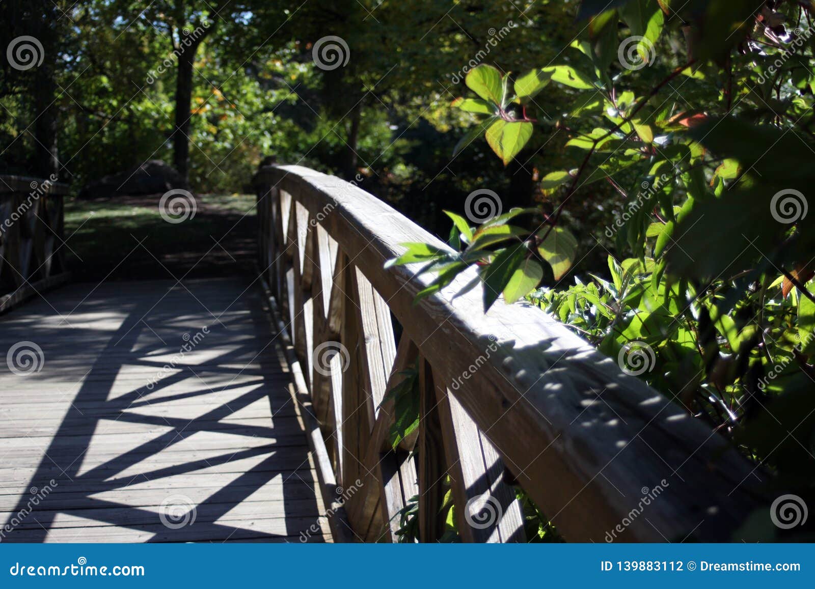 Dramatic bridge shadows stock photo. Image of green - 139883112