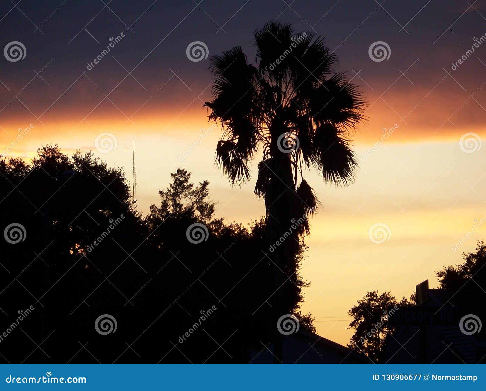 Dramatic Bruise Colored Clouds of a Florida Sunset Stock Image - Image ...