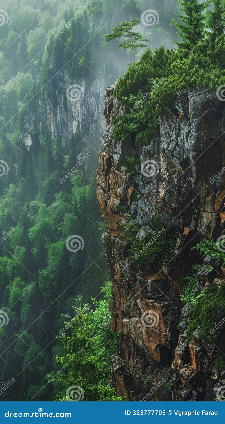 Dramatic Cliffside View in a Lush Forest Stock Image - Image of ...