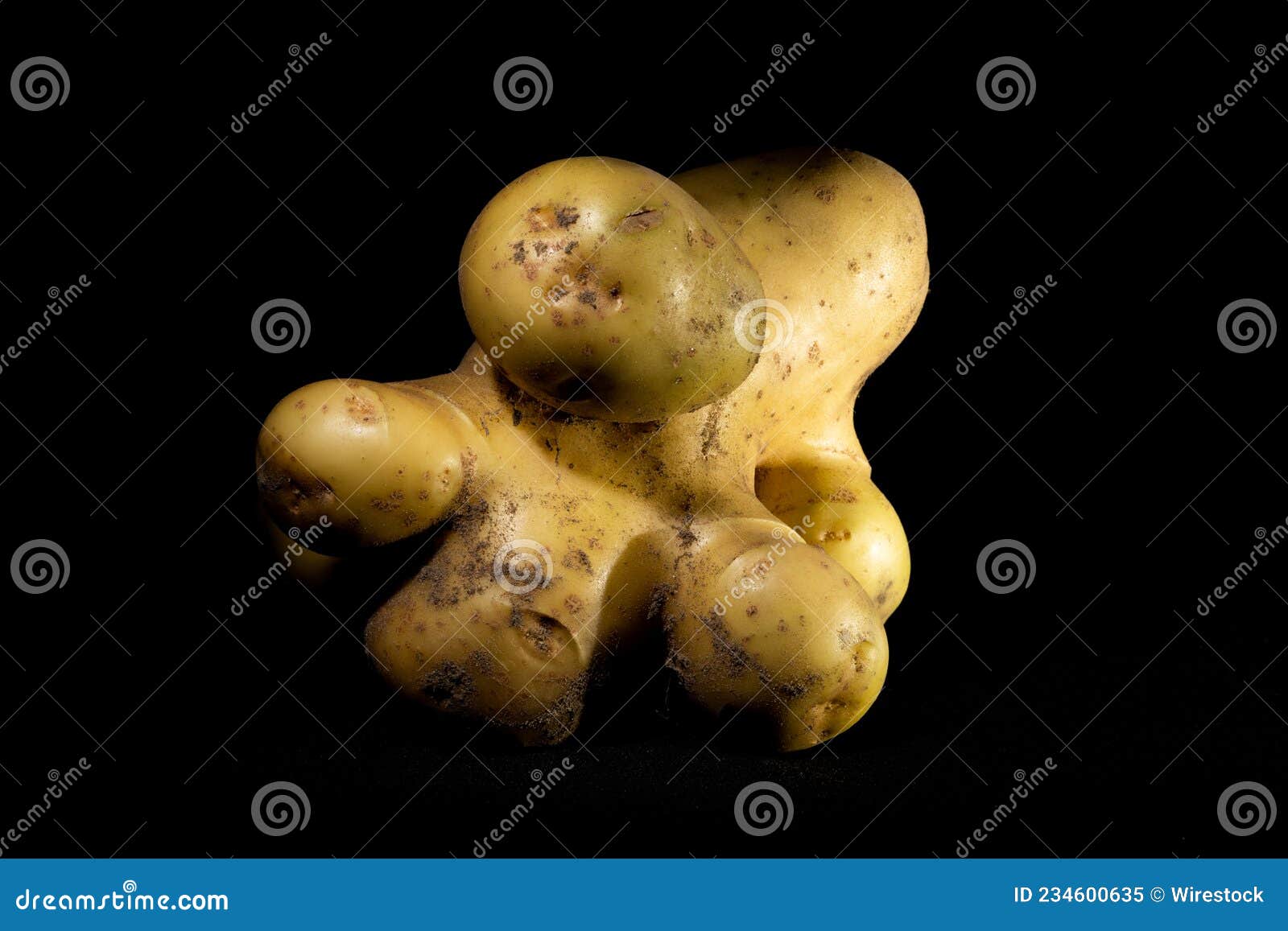 Dramatic Closeup Shot of an Interesting-shaped Potato on a Black ...