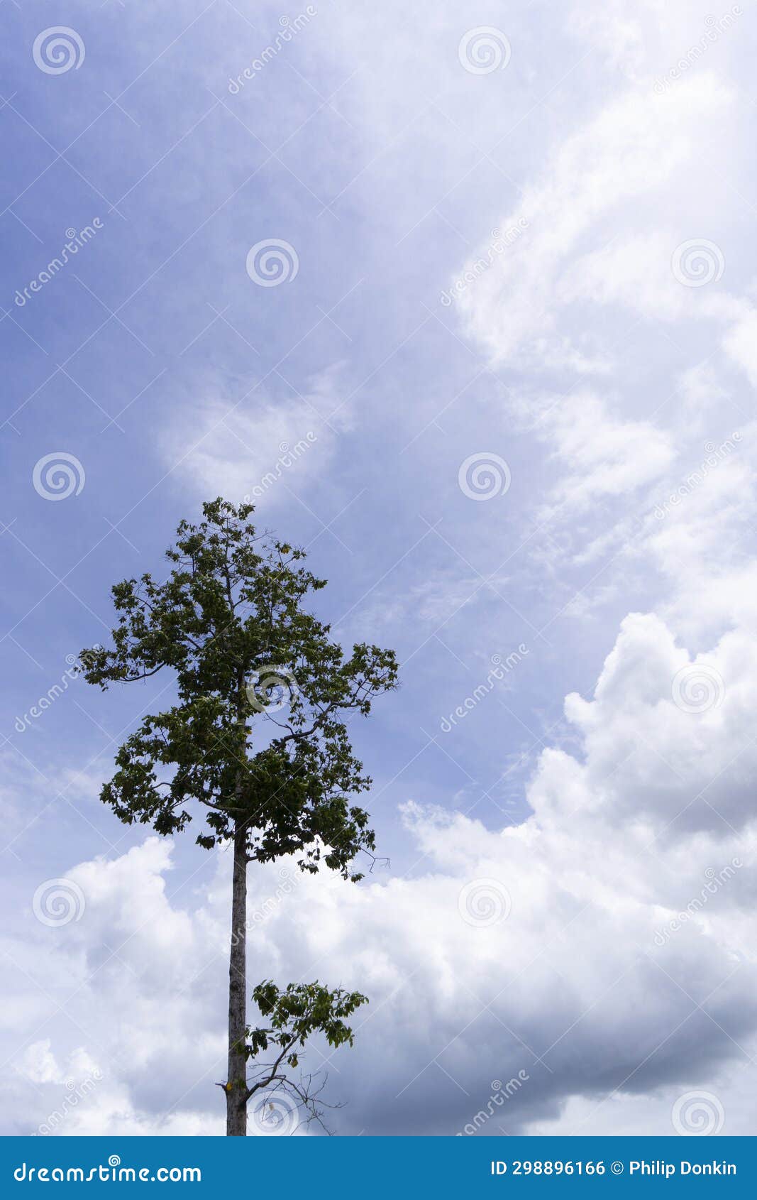 Dramatic Cloud Formationâ€™s Showing Unique and Changing Natural ...
