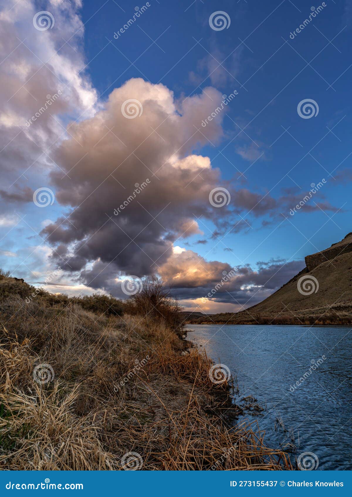 Cloud Snake On A Blue Sky Background. Symbol Of The Year 2025 According ...