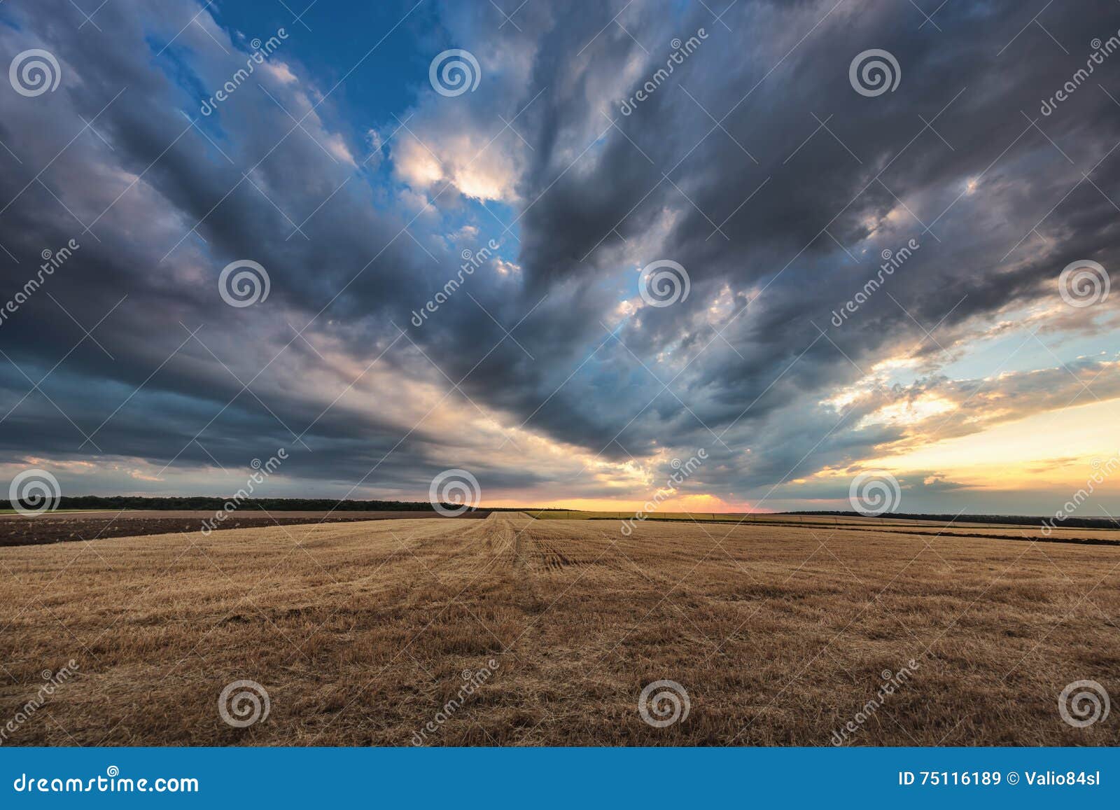 Dramatic Clouds Over the Field after Harvest Stock Image - Image of ...