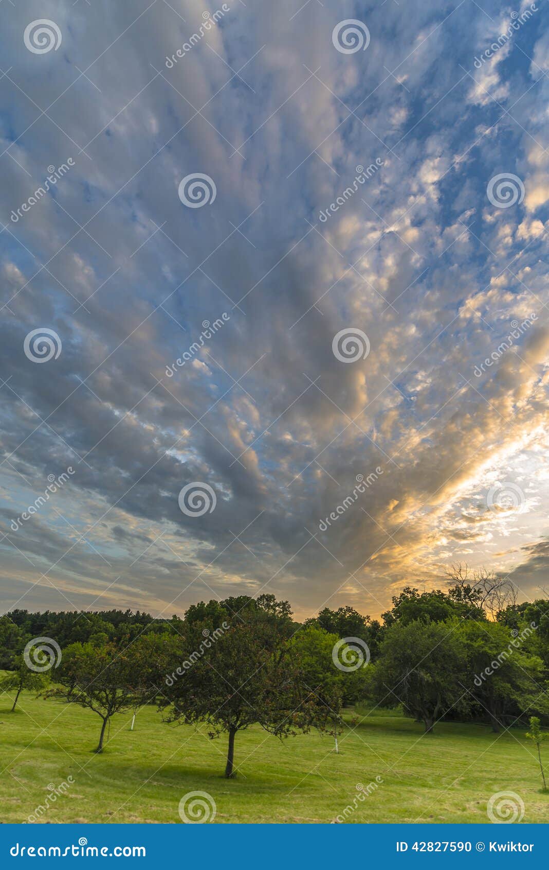 Dramatic Clouds Over the Orchard Stock Photo - Image of blue, outdoor ...