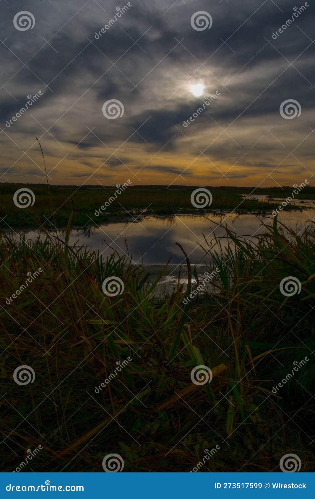 Dramatic Dark Sky with the Glowing Sun Above the Marsh. Stock Image ...