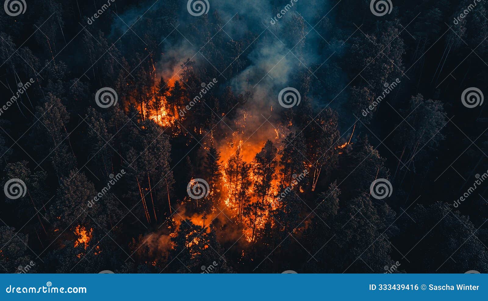 A Dramatic Drone Shot Capturing the Intensity of a Nighttime Forest ...