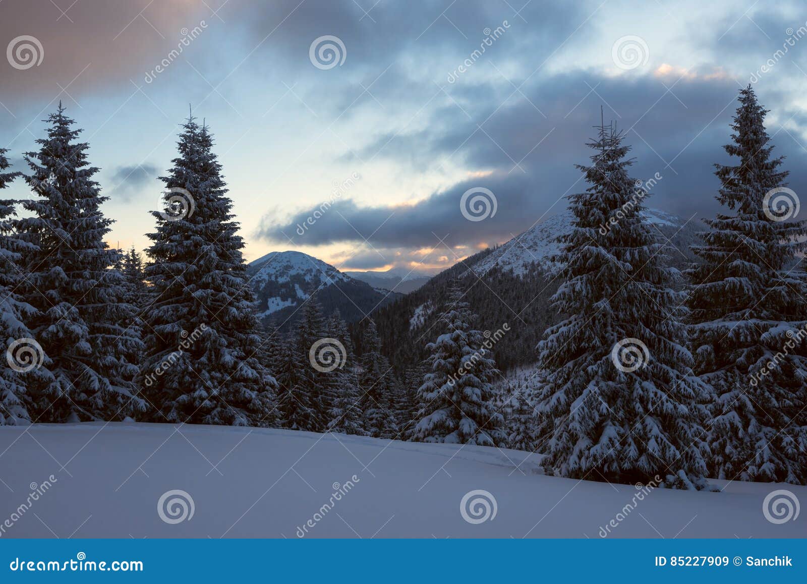 Dramatic Evening Landscape in the Mountains after the Snow Storm Stock ...