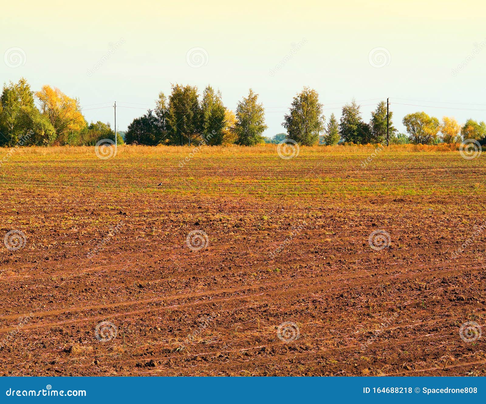 Dramatic Farm Field during Sunset Landscape Backdrop Stock Photo ...