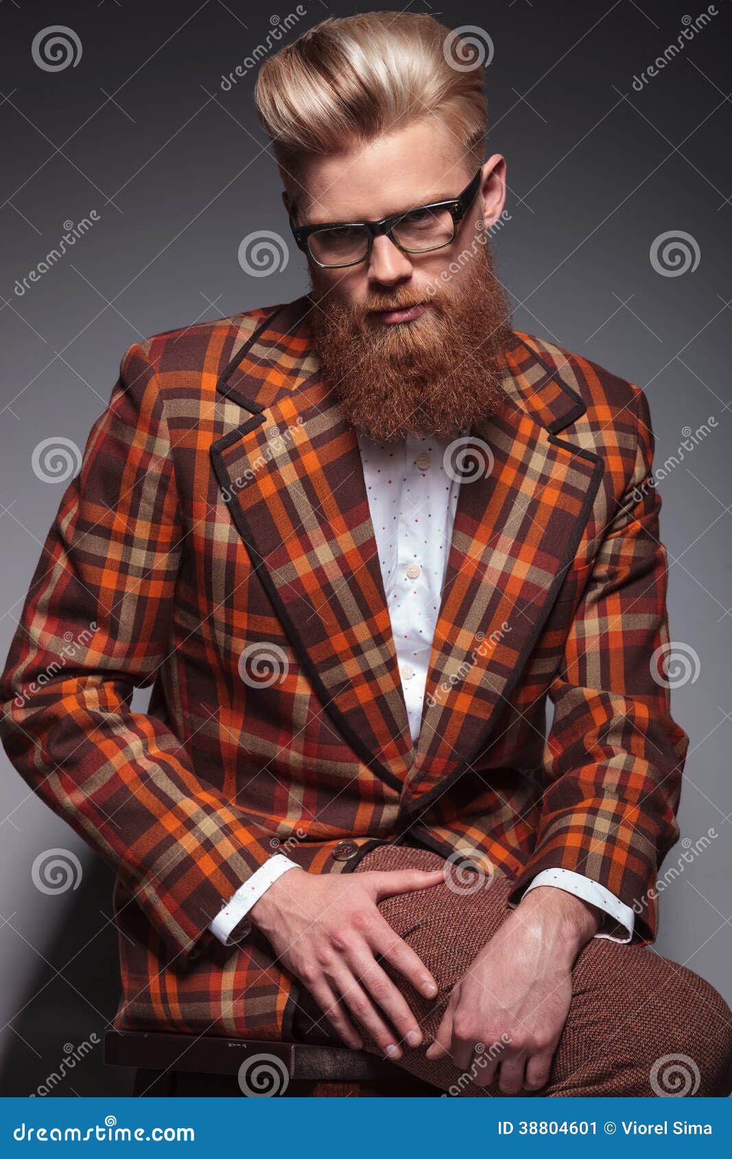 Dramatic Fashion Model with Long Beard Stock Image - Image of clothes ...