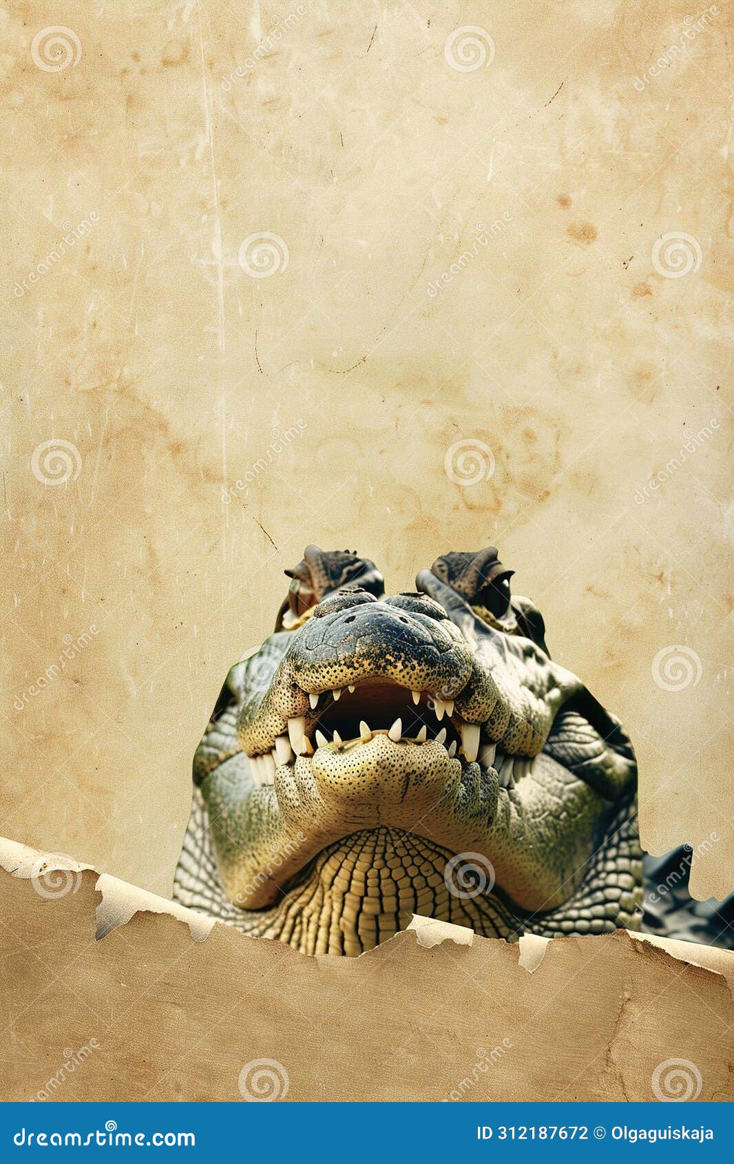 Dramatic Front View of a Crocodile Head Against a Beige Backdrop ...