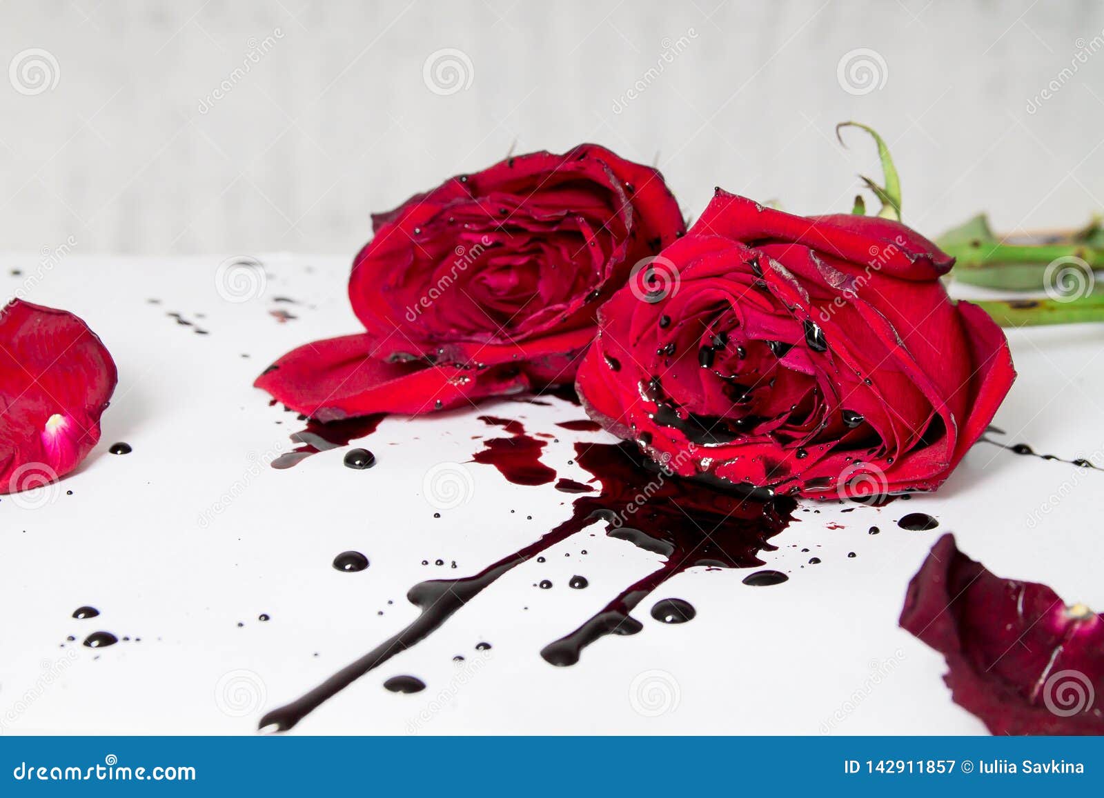 Bleeding Red Rose Dark Background Photos - Free & Royalty-Free Stock ...