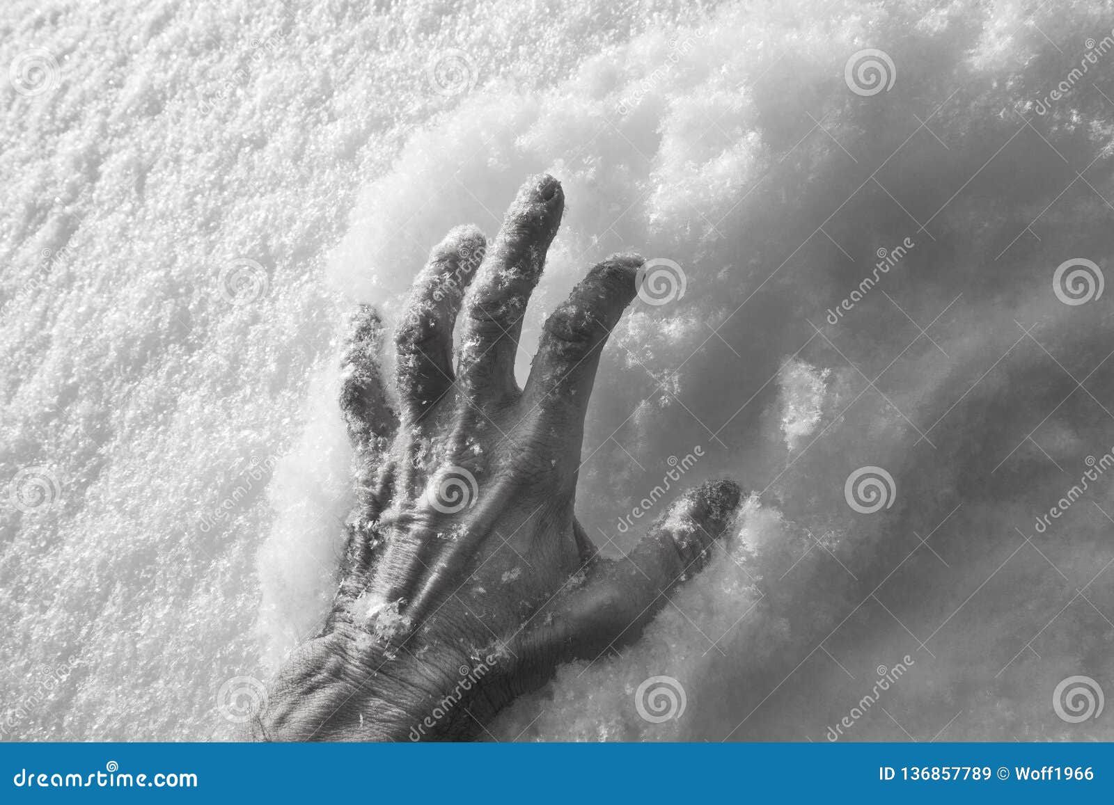 Dramatic Hand in the Snow. in the Winter Forest Freezes People. Tragedy ...