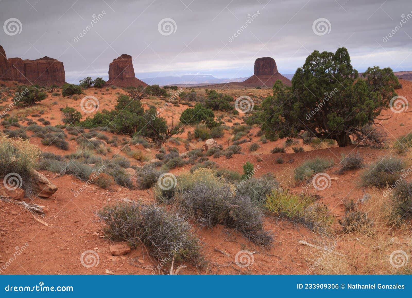 Dramatic and Iconic Western Landscape in Monument Valley Stock Photo ...