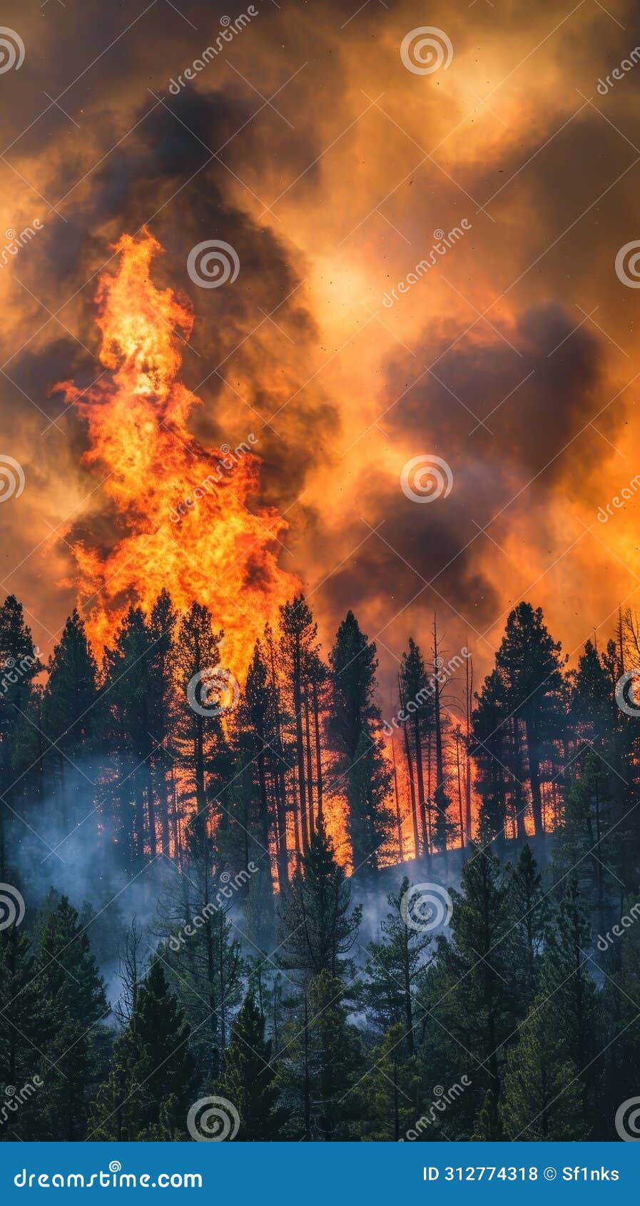Dramatic Image Capturing the Fierce Intensity of a Wildfire Raging ...