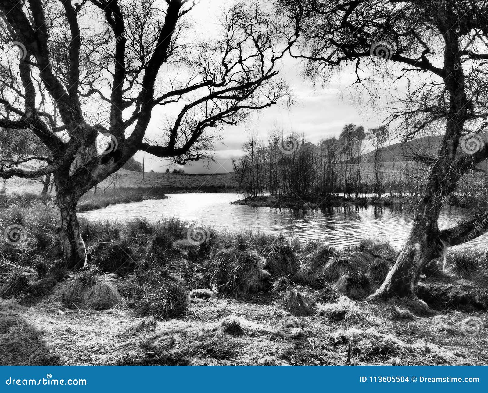 Dramatic lake stock photo. Image of scotland, beautiful - 113605504